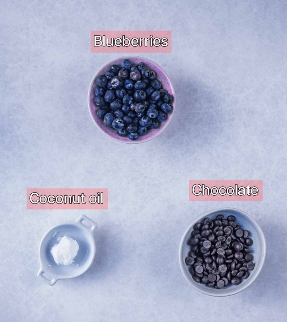 Chocolate Covered Blueberries - Low Sugar Kitchen